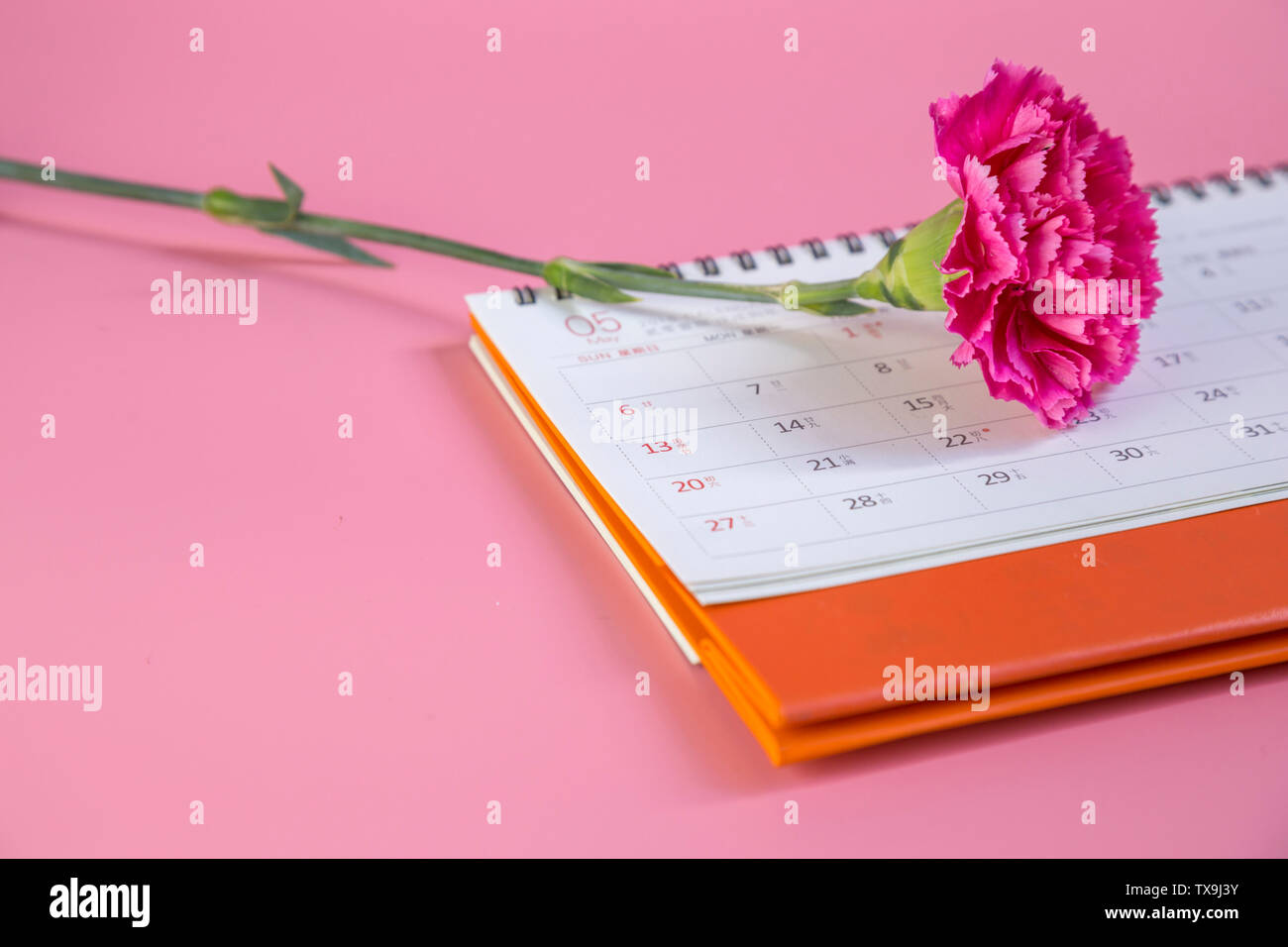 Carnation Moon and Mother's Day Stock Photo - Alamy