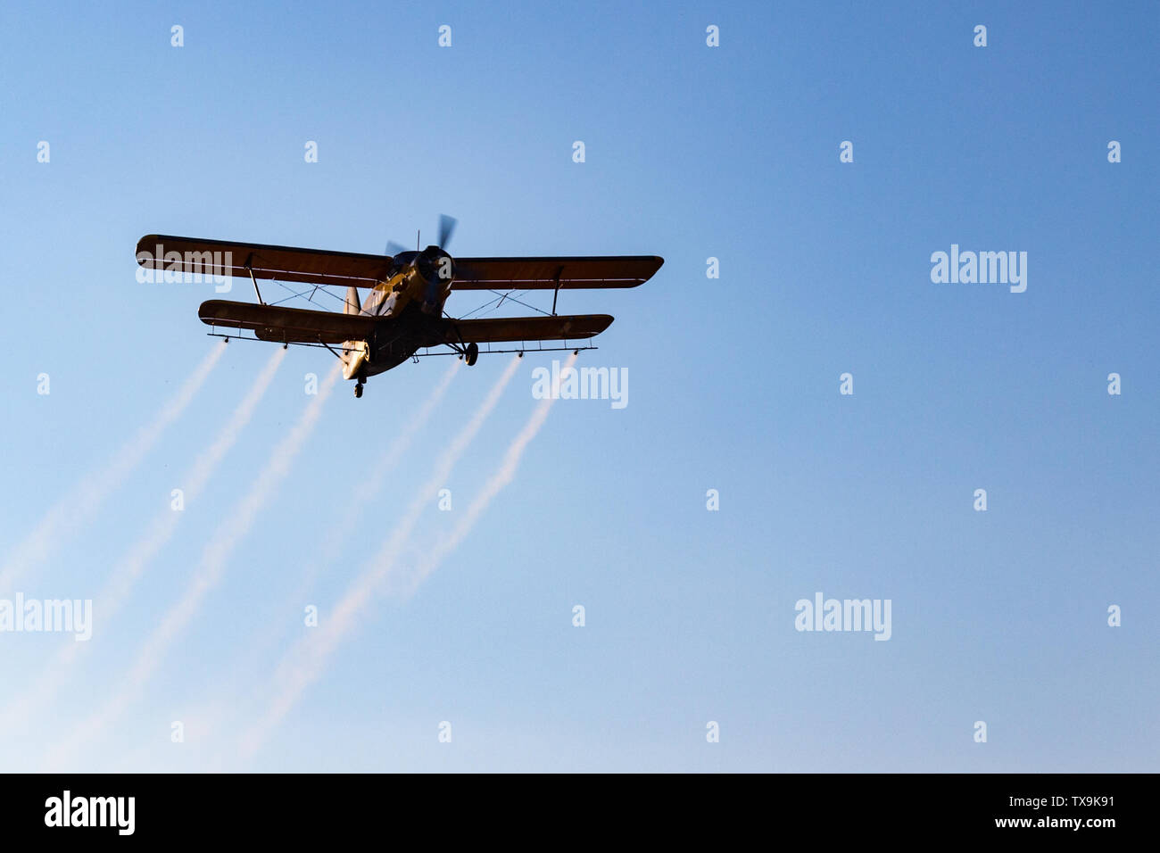 Antonov An-2 single-engine biplane spraying mosquitocide chemical over ...