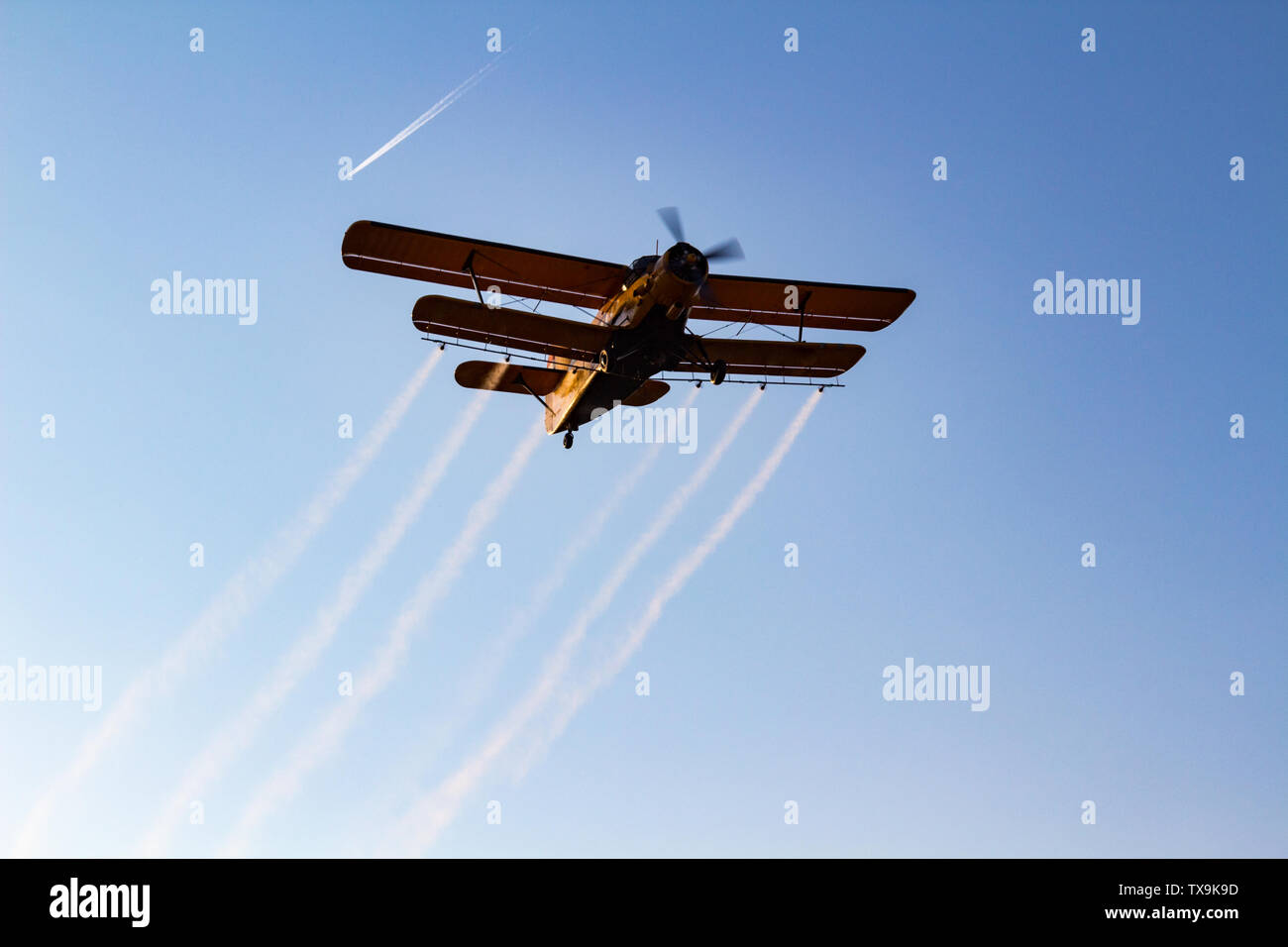 Antonov An-2 single-engine biplane spraying mosquitocide chemical over ...