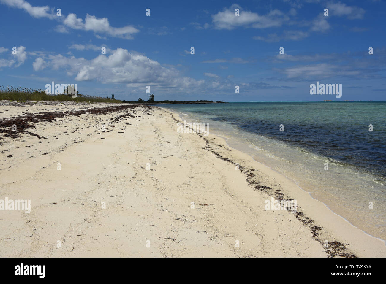 The remote island of Mayaguana, in the Bahamas, has some of the most ...