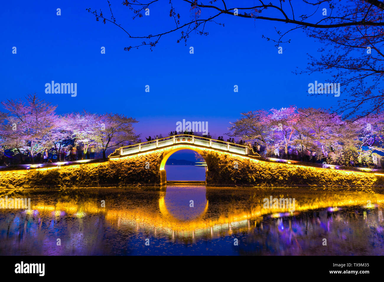 Touzhu night cherry, paired with Changchun Bridge, the bridge in the ...