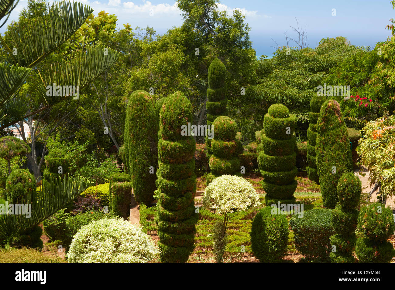 Topiary in the Madeira Botanical Garden, Funchal, Madeira, Portugal ...