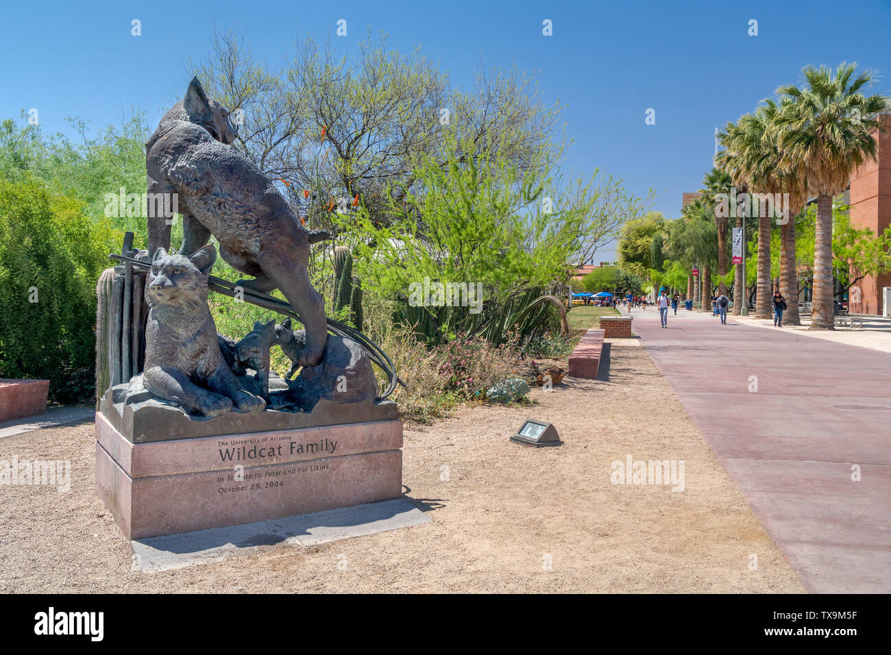 TUCSON, AZ/USA - APRIL 11, 2019: Wildcat Family Statue on the campus of ...