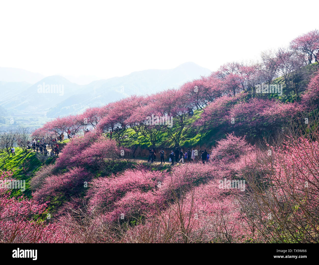 New village meiyuan Stock Photo - Alamy