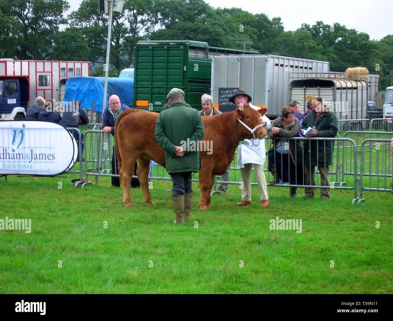 Example of judging in the ring hi-res stock photography and images - Alamy
