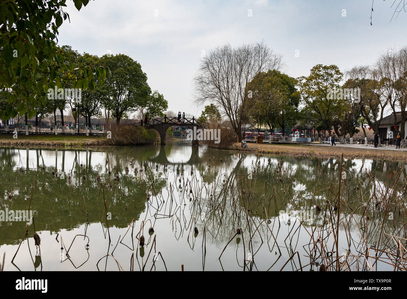 Shajiabang reed scenic spot hi-res stock photography and images - Alamy