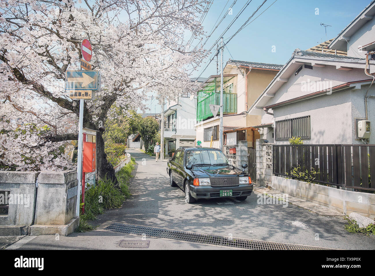 Kyoto Lan electric cherry blossom train Stock Photo - Alamy
