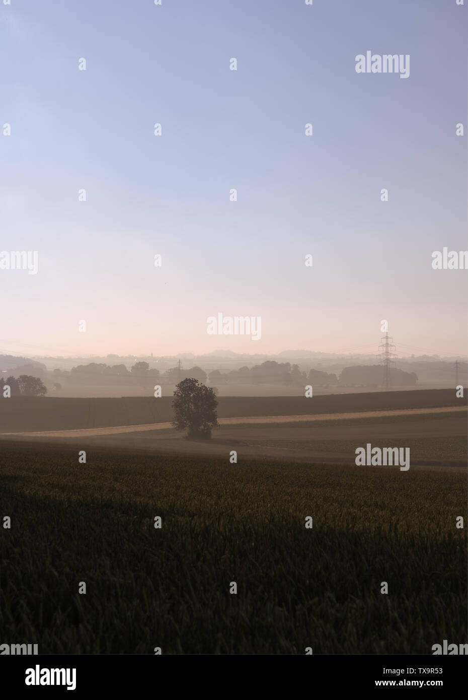 First morning light , fields, summer hi-res stock photography and ...