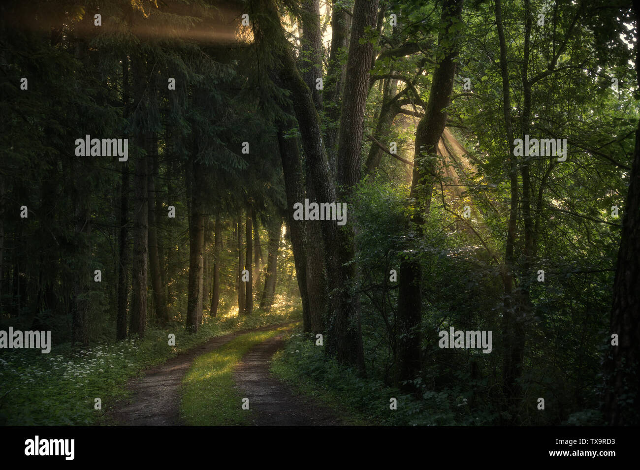 Restful scenery hi-res stock photography and images - Alamy