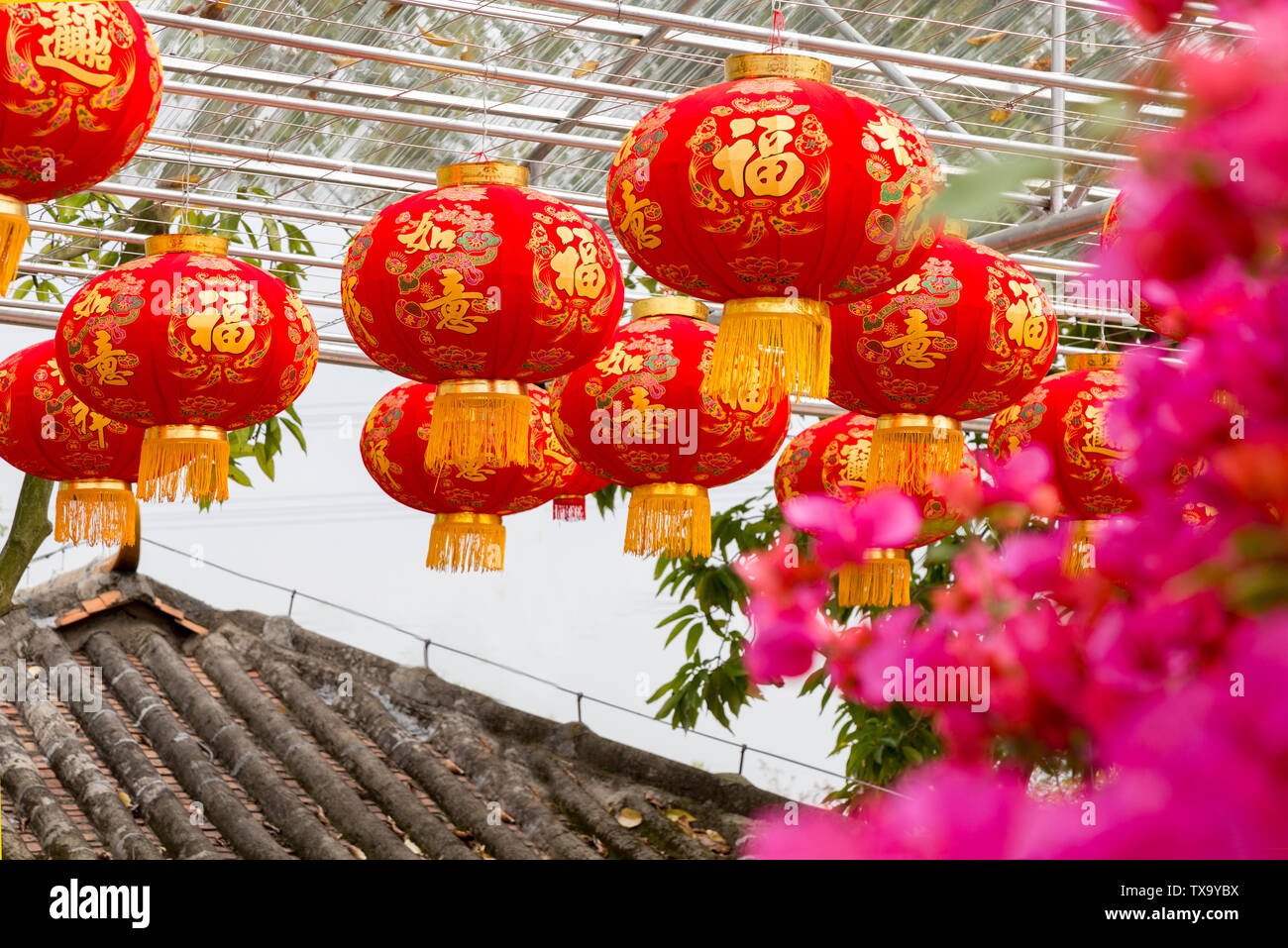 Chinese Spring Festival red lantern Stock Photo - Alamy