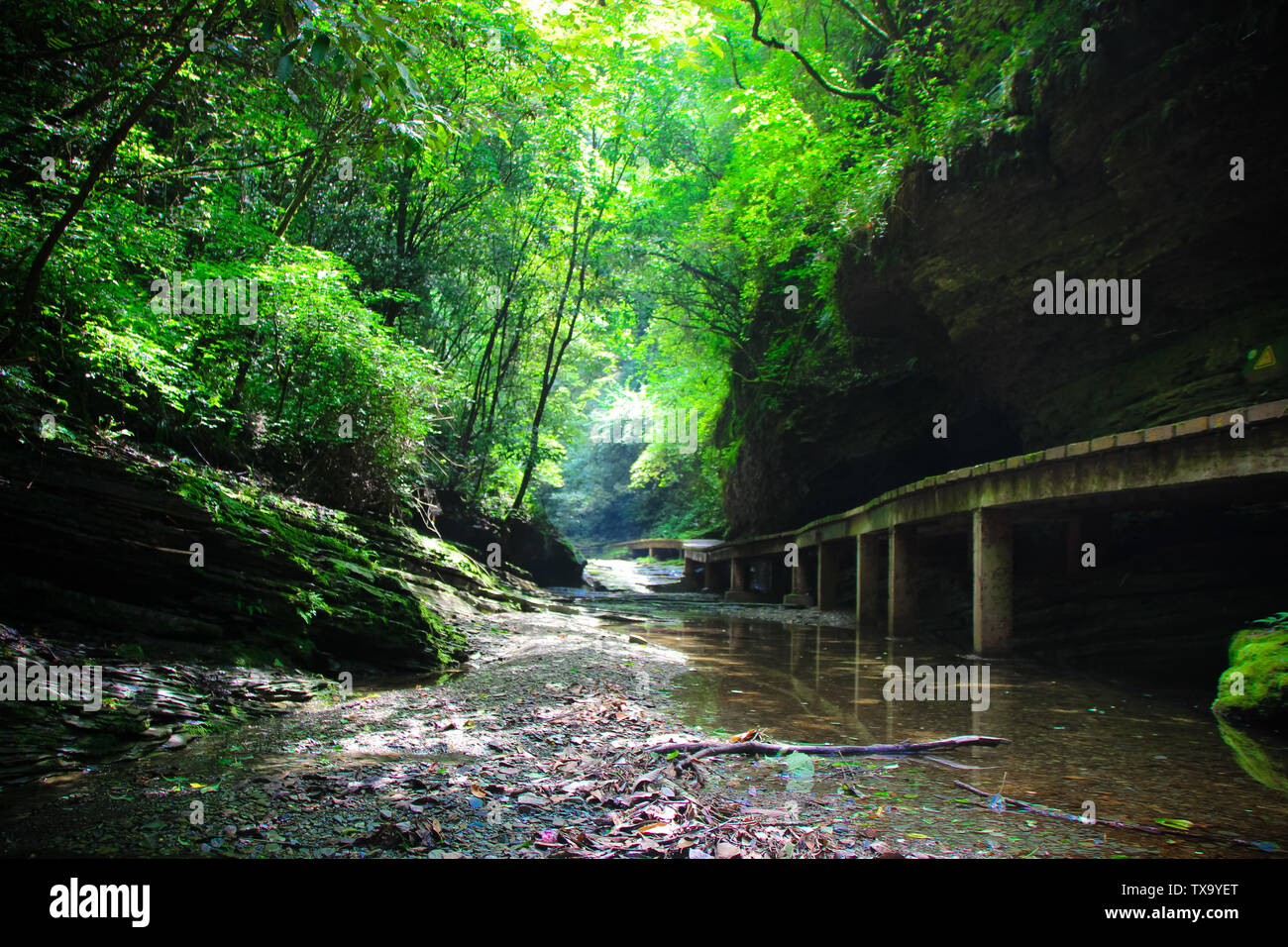 Photographer: Hu Wenkai Stock Photo - Alamy