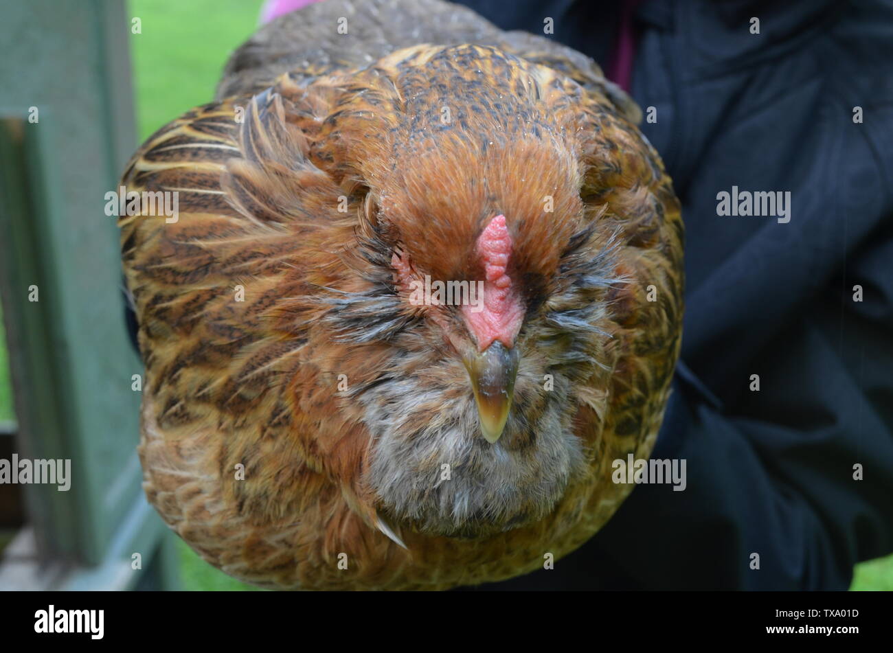 Scary person hi-res stock photography and images - Alamy