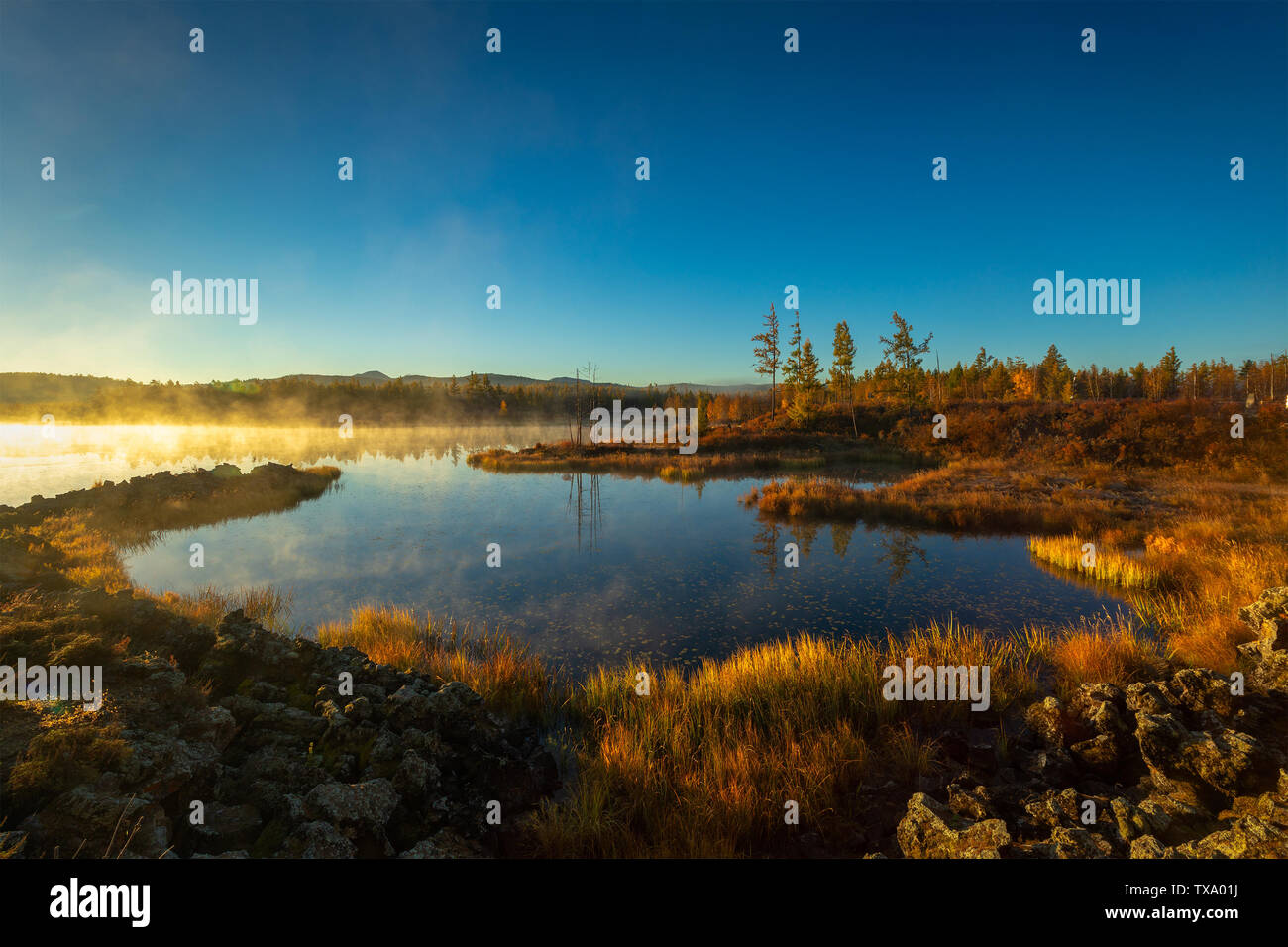 Dark lake with light reflexes hi-res stock photography and images - Alamy