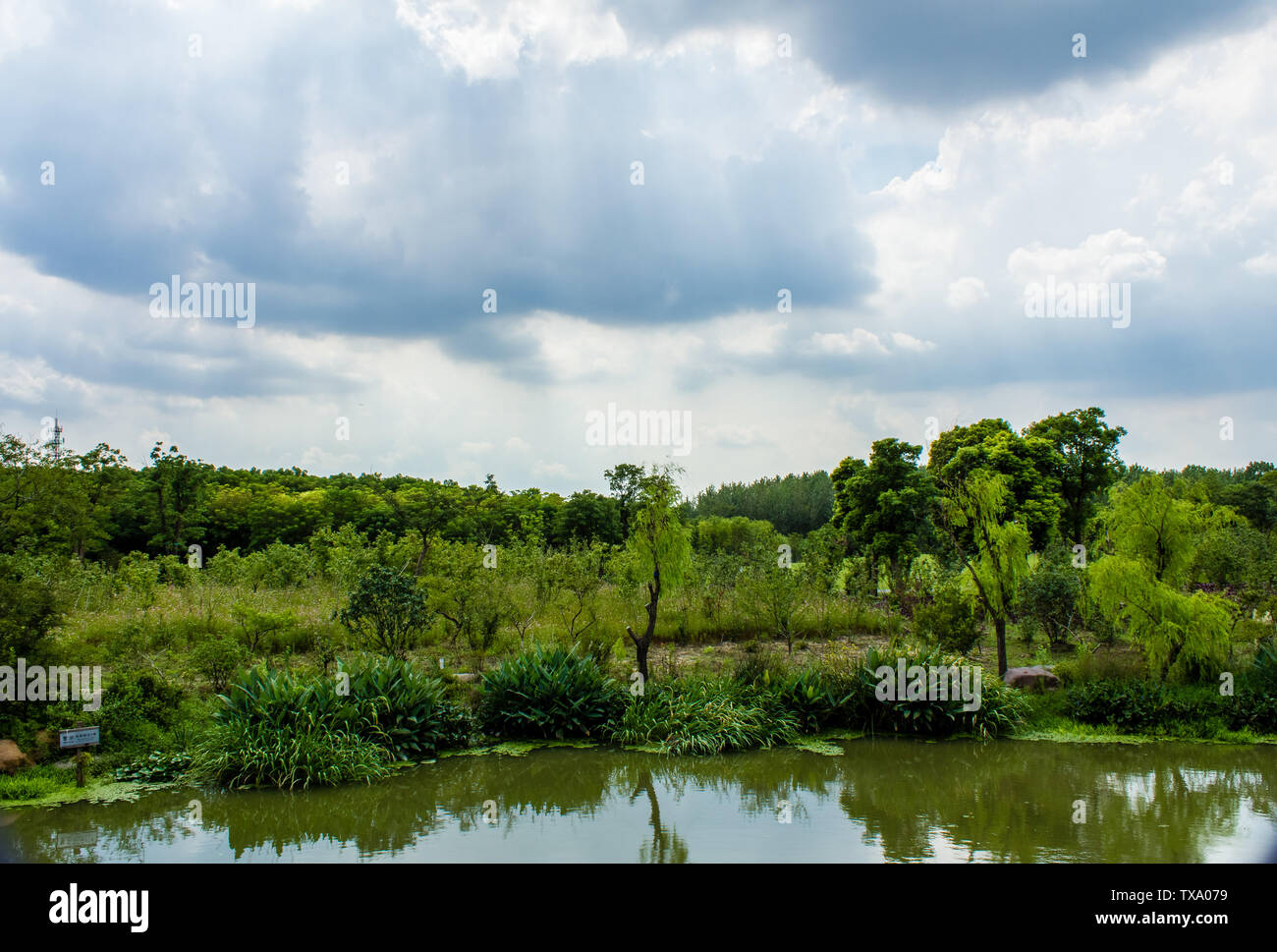 Scenery of Gucun Park in Shanghai Stock Photo - Alamy