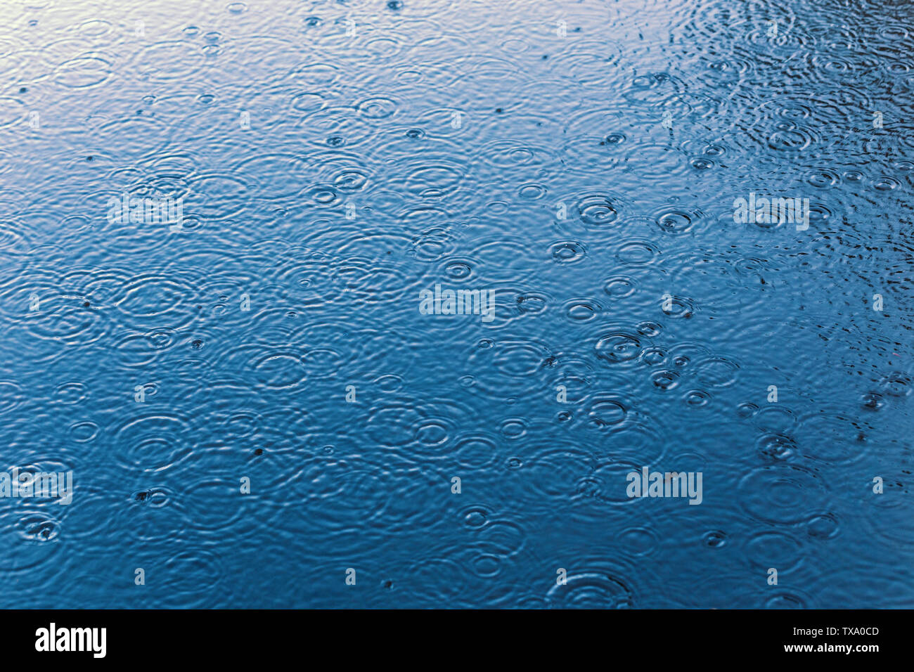 Colorful Raindrop Wallpaper