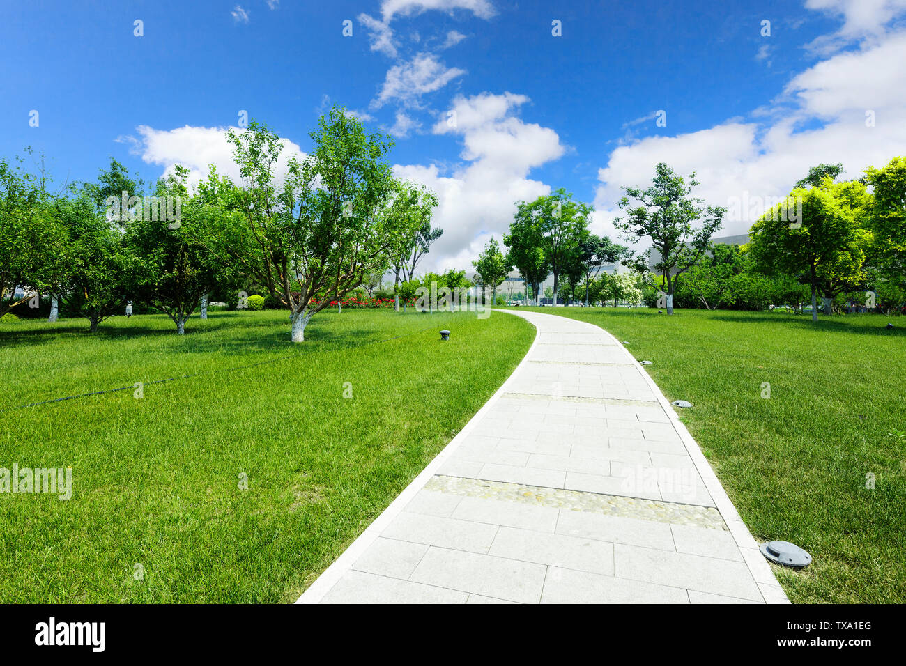 Man in long grass leaves hi-res stock photography and images - Alamy
