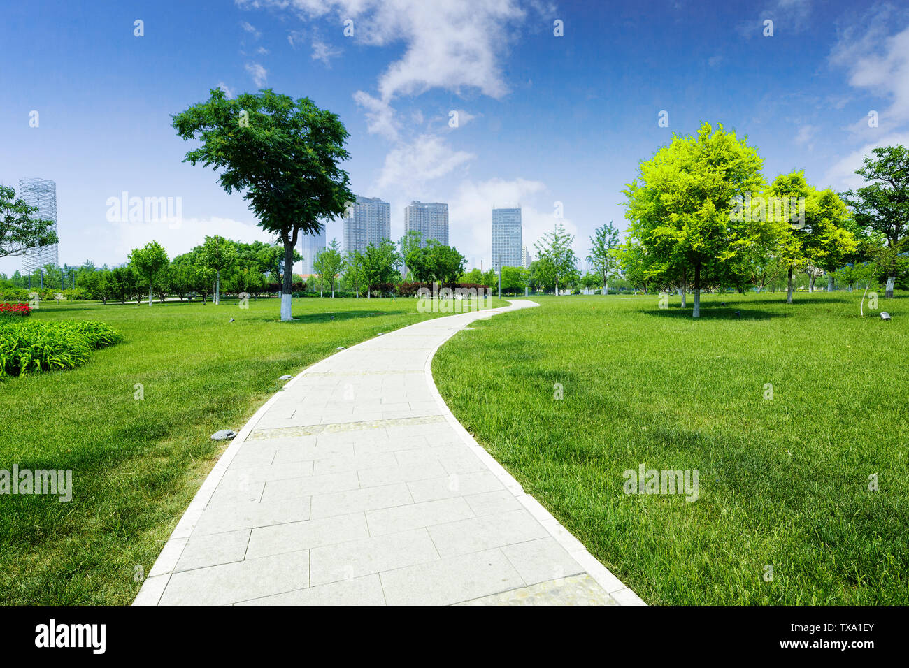 Long footpath in meadow of park Stock Photo - Alamy