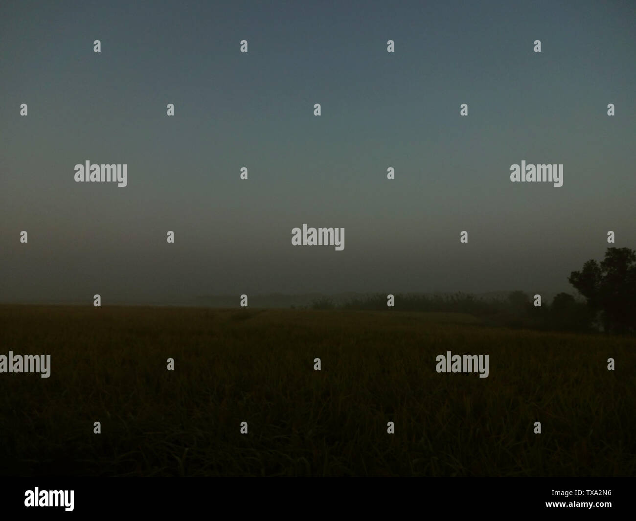 The morning light Stock Photo - Alamy