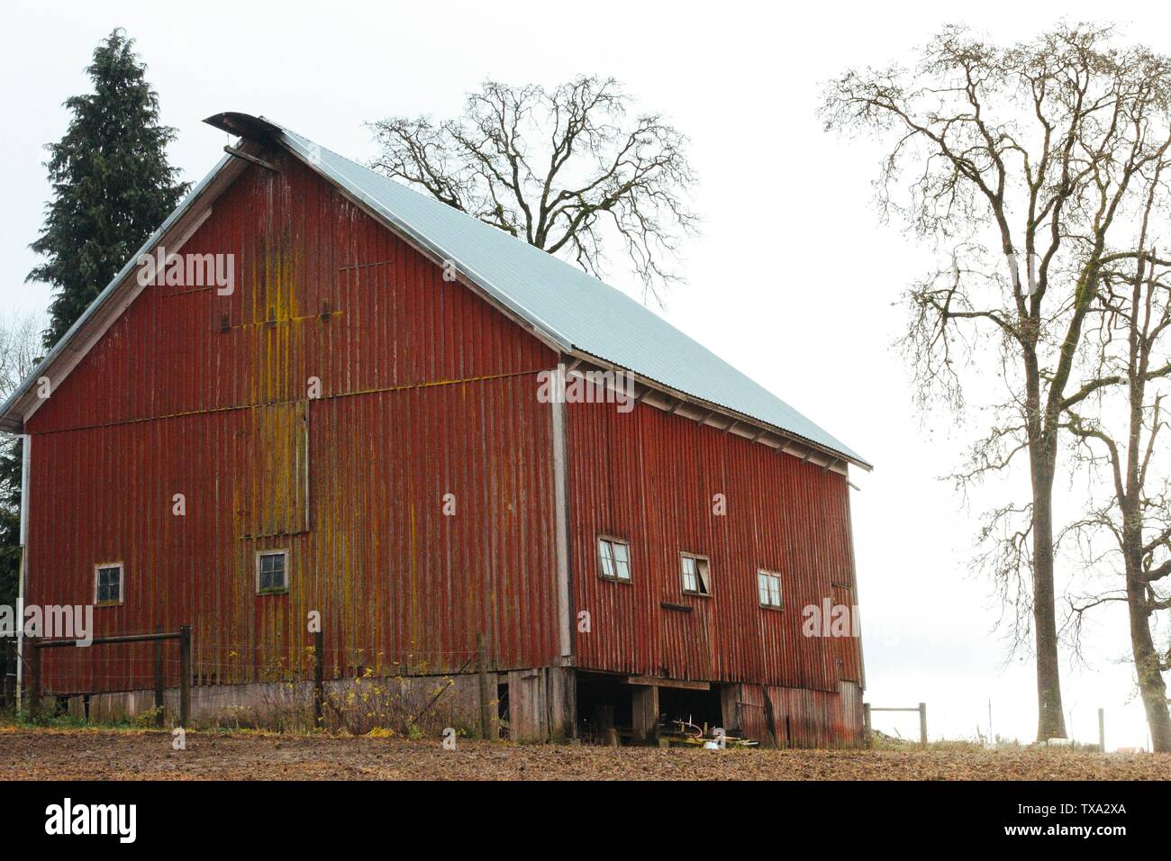 Abandoned red rusty metal house in a forest Stock Photo - Alamy