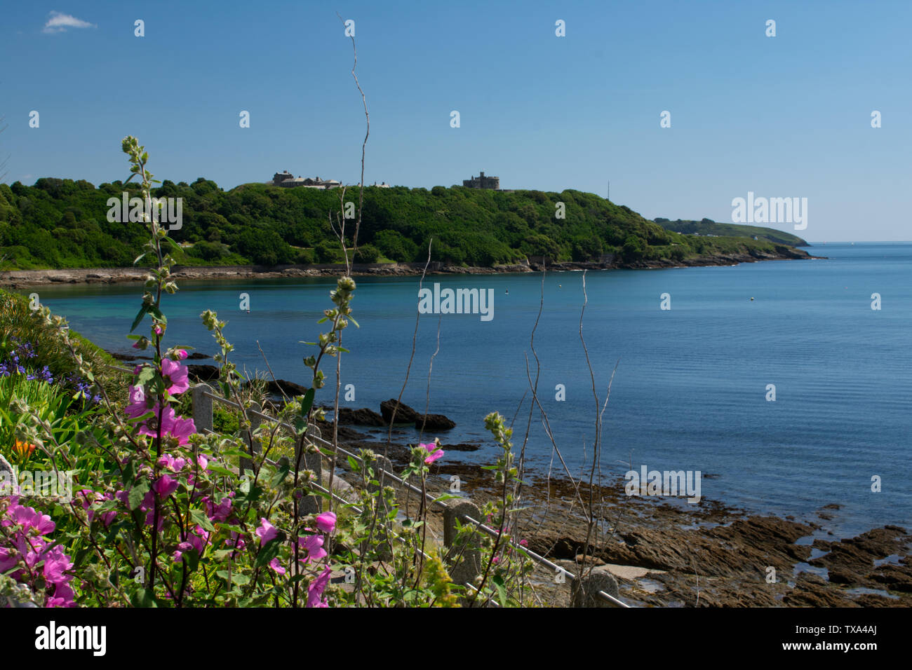 Pendennis Point from Falmouth Stock Photo - Alamy
