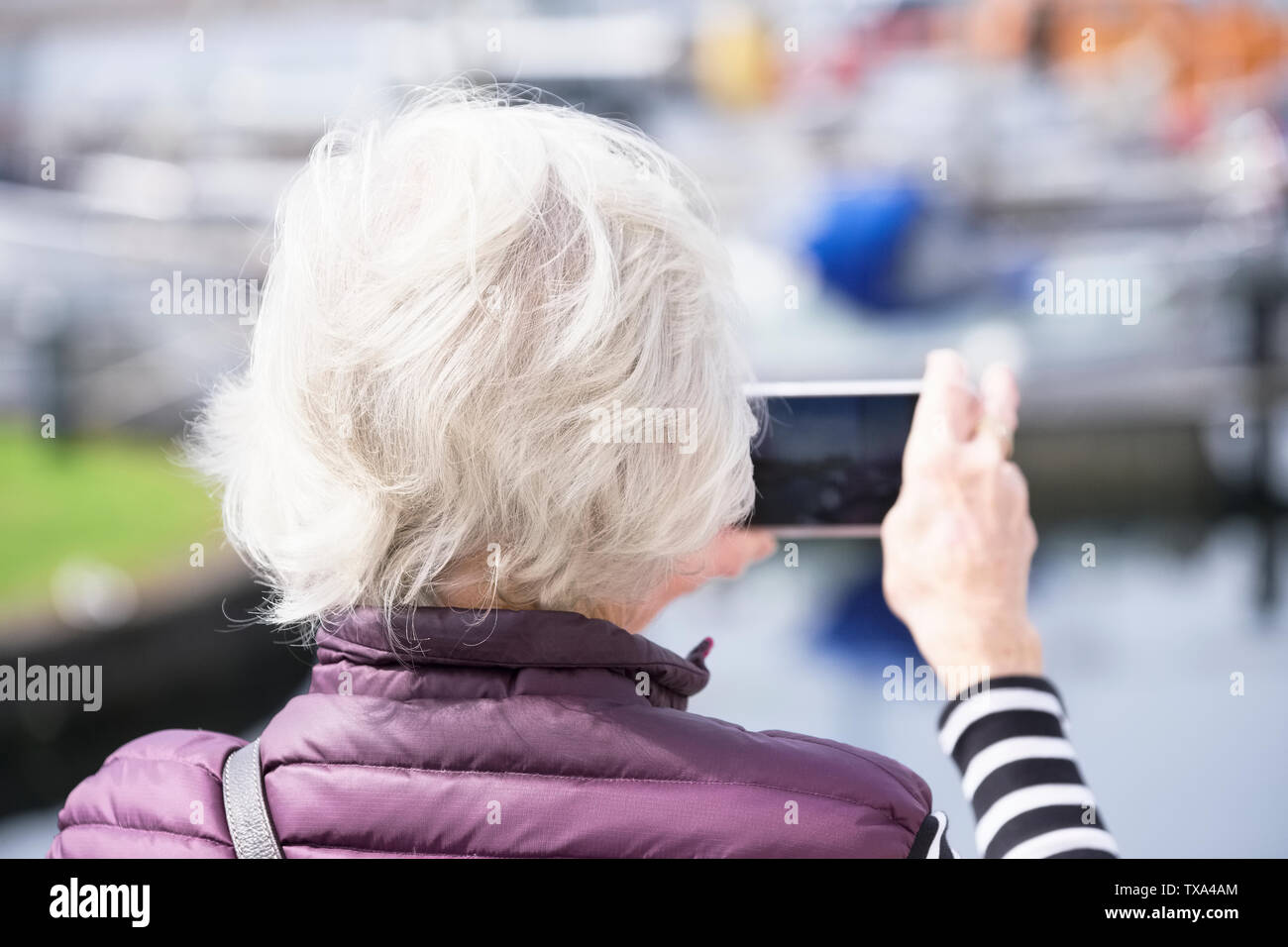 Senior elderly person using touch screen mobile cell phone camera to ...