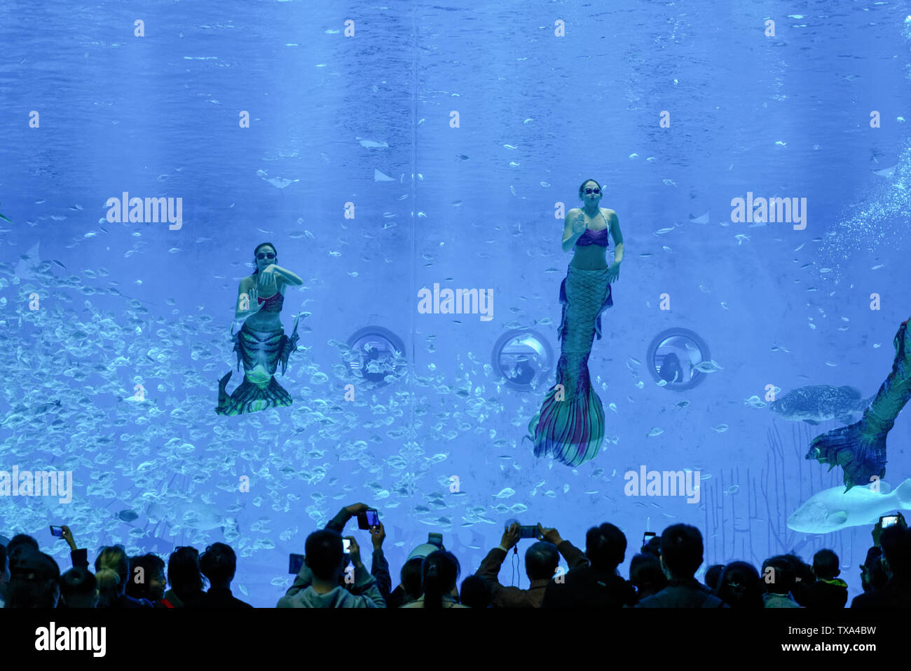 Mermaid performance at Haichang Ocean Park, Shanghai Stock Photo - Alamy