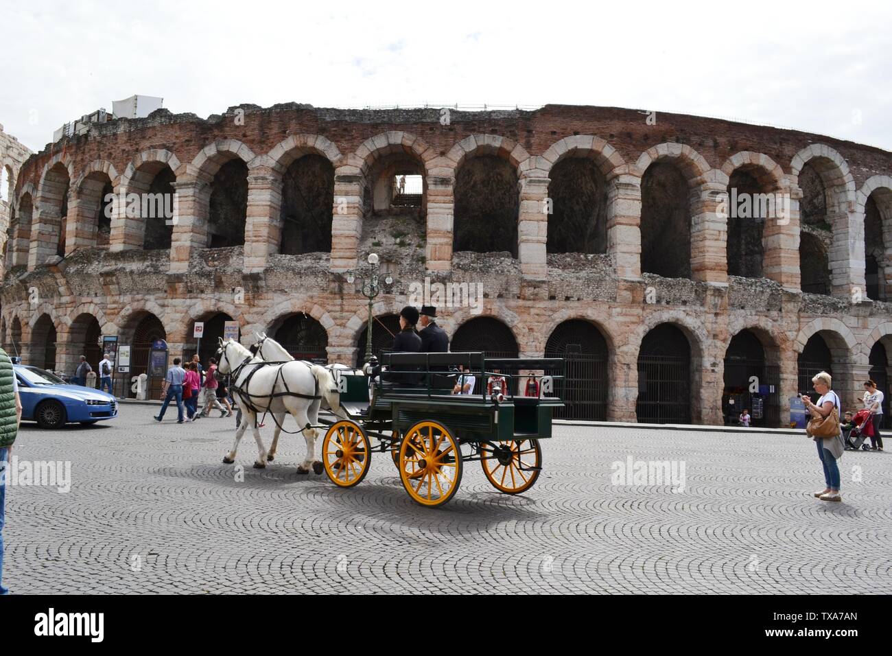 Roman horse carriage hi-res stock photography and images - Alamy