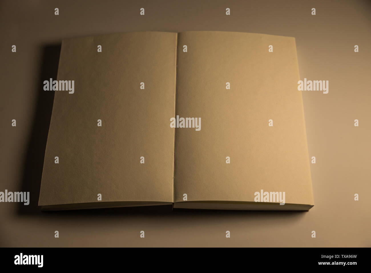 Blank page books, can be creative and text Stock Photo - Alamy