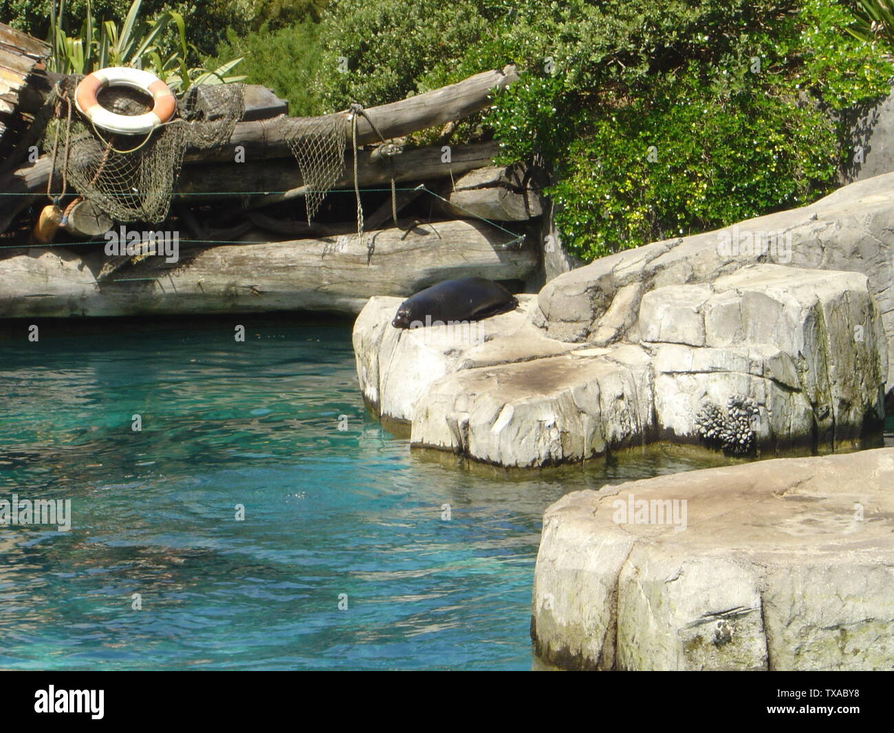 Bestiality or zoophilia hi-res stock photography and images - Alamy