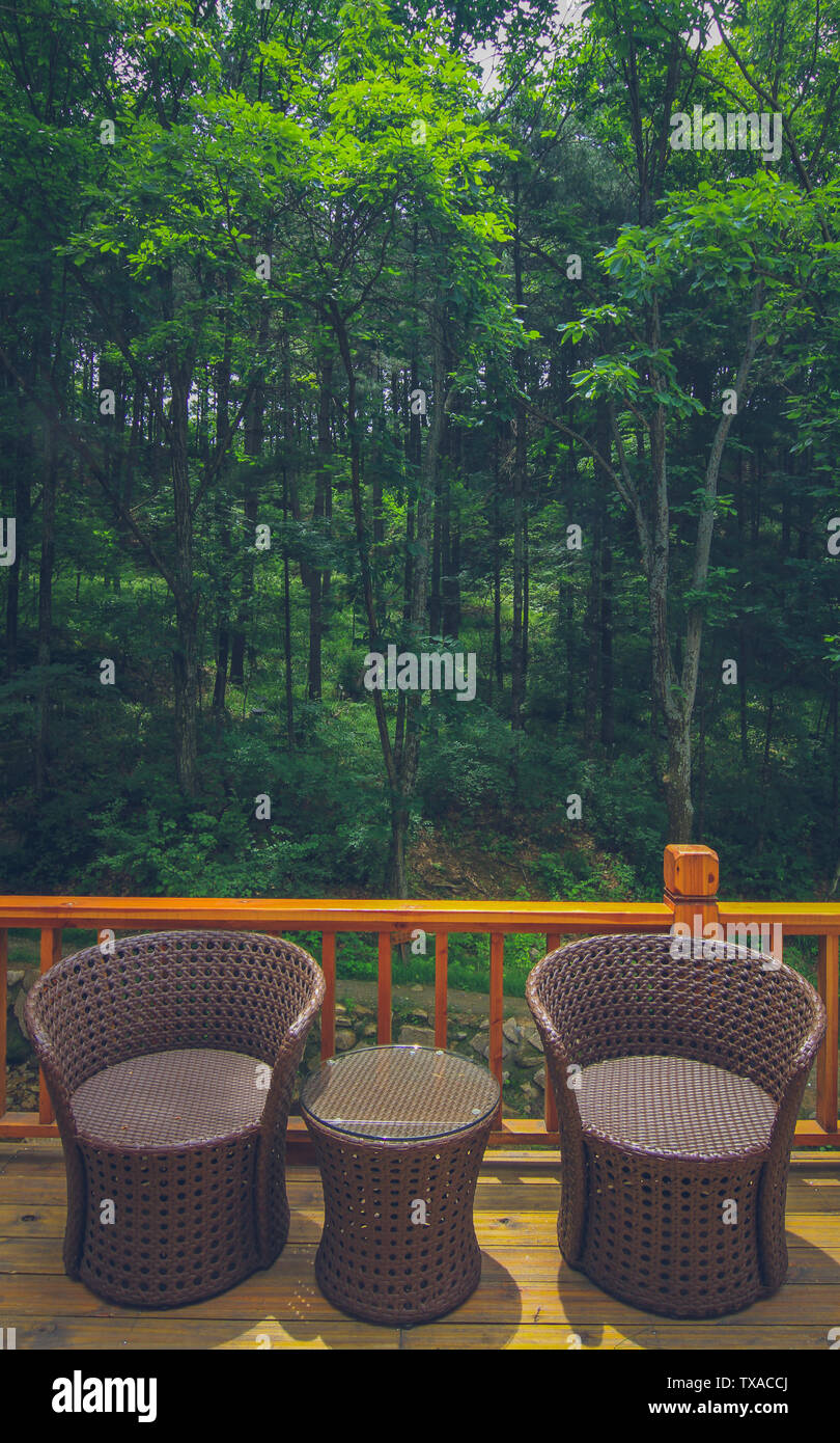 Forest rattan chair Stock Photo - Alamy