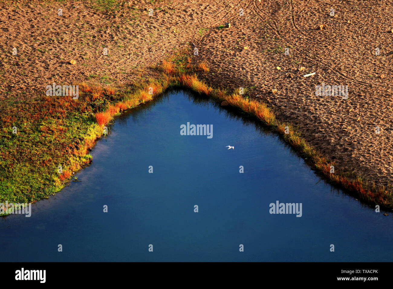 Waters of the erguna river hi-res stock photography and images - Alamy