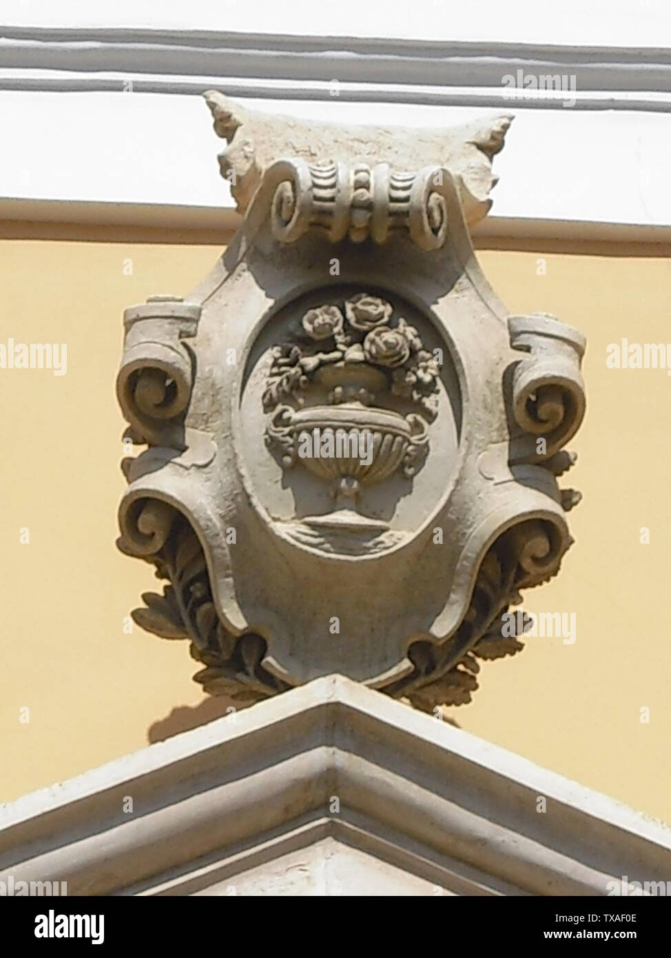 Stemma stemma hi-res stock photography and images - Alamy