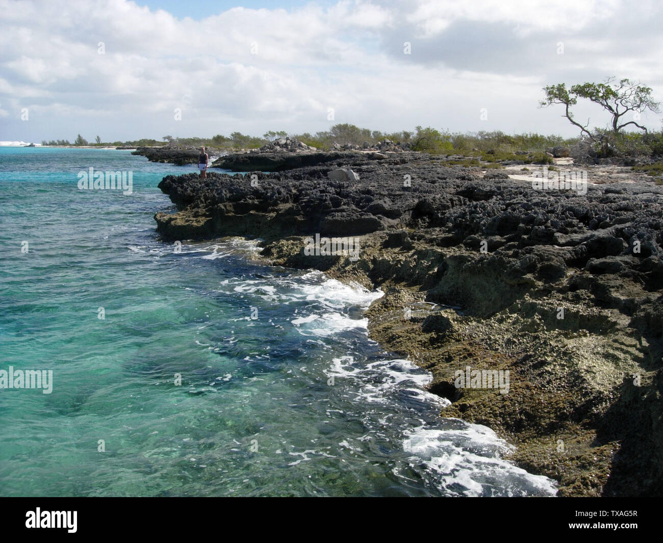 Great inagua hi-res stock photography and images - Alamy