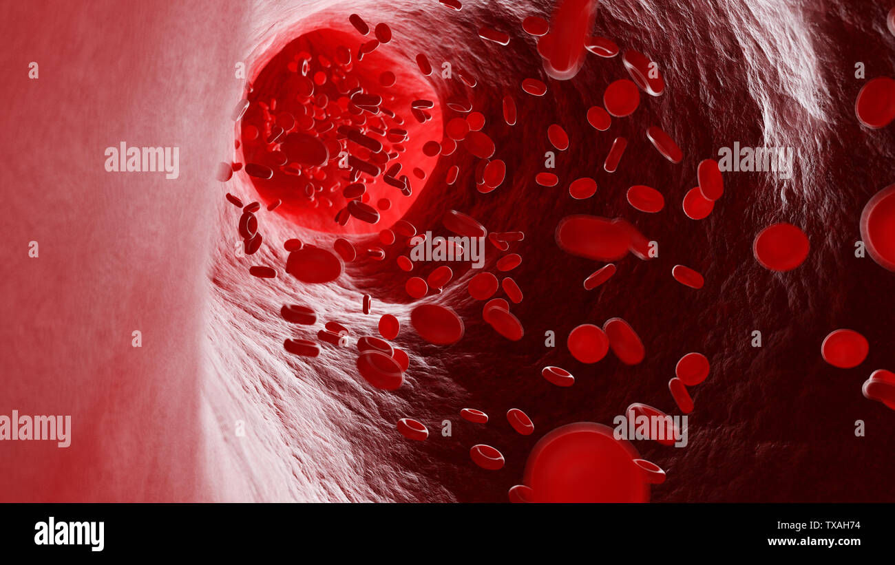3d rendered medically accurate illustration of human blood cells Stock ...