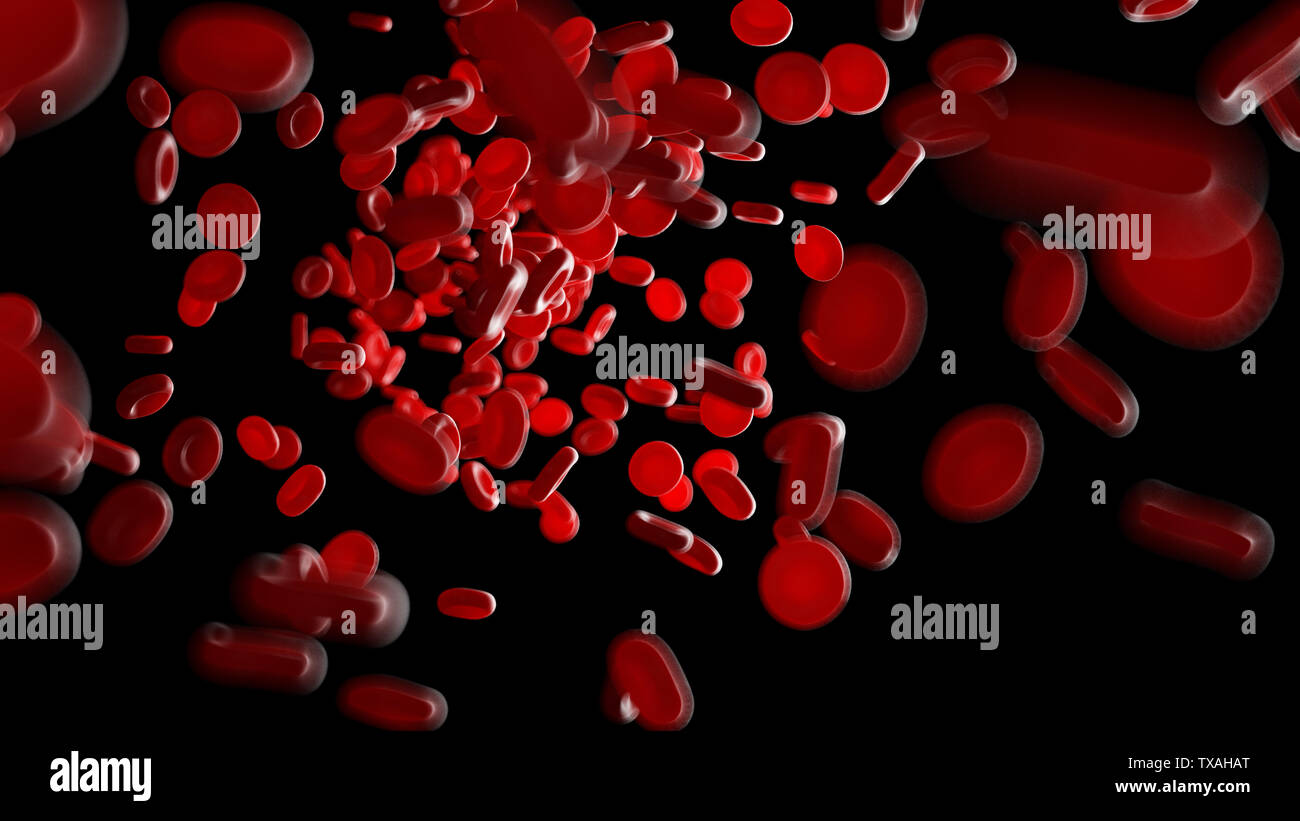 3d rendered medically accurate illustration of human blood cells Stock ...