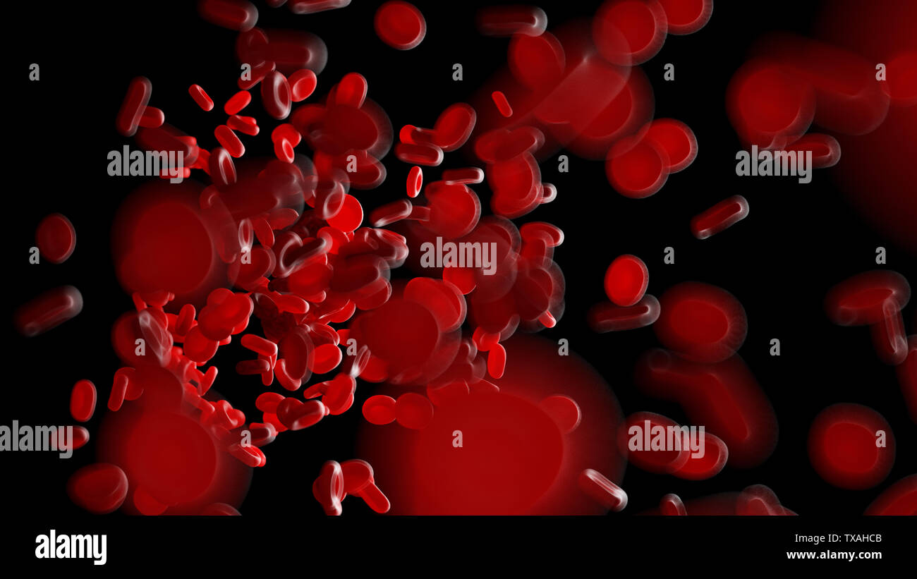 3d rendered medically accurate illustration of human blood cells Stock ...