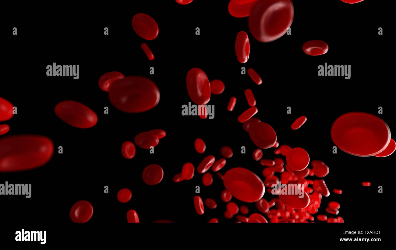 3d rendered medically accurate illustration of human blood cells Stock ...