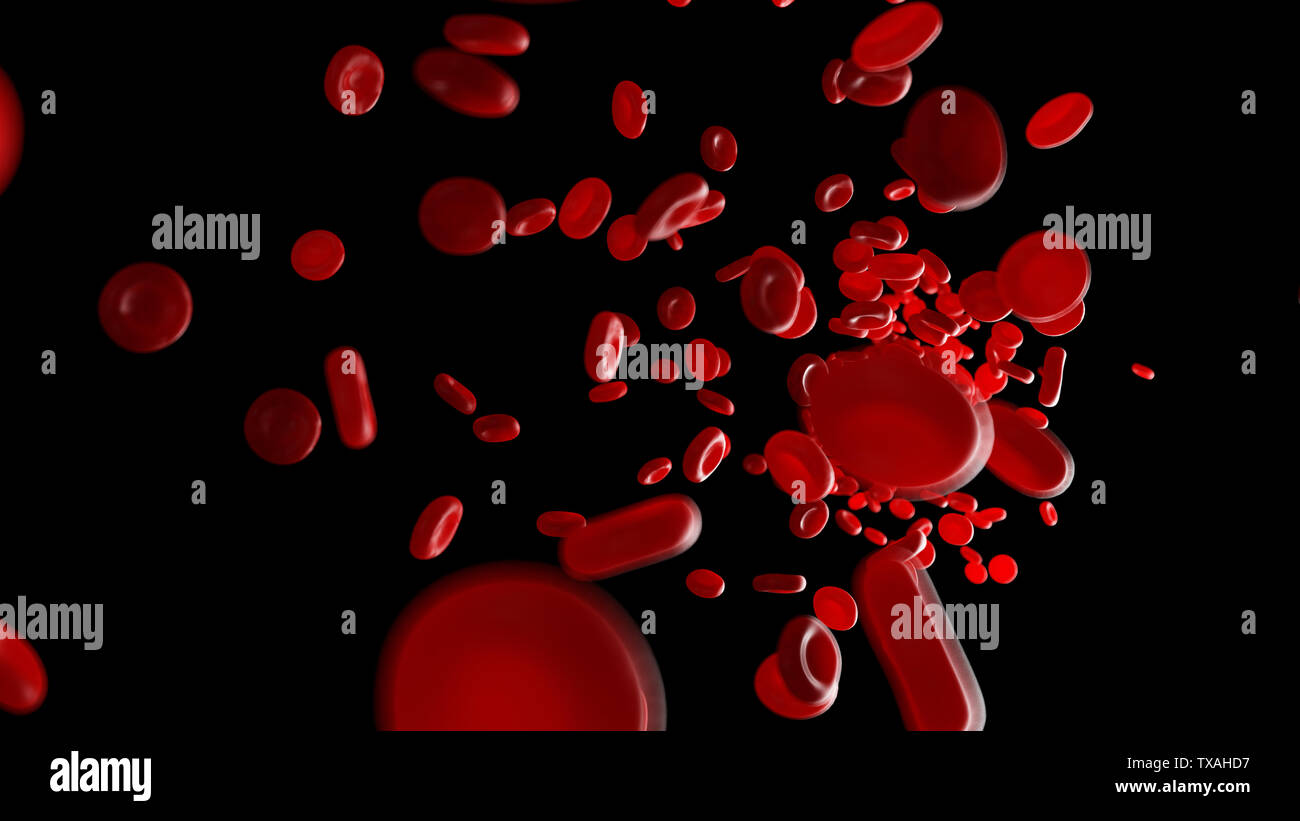 3d rendered medically accurate illustration of human blood cells Stock ...