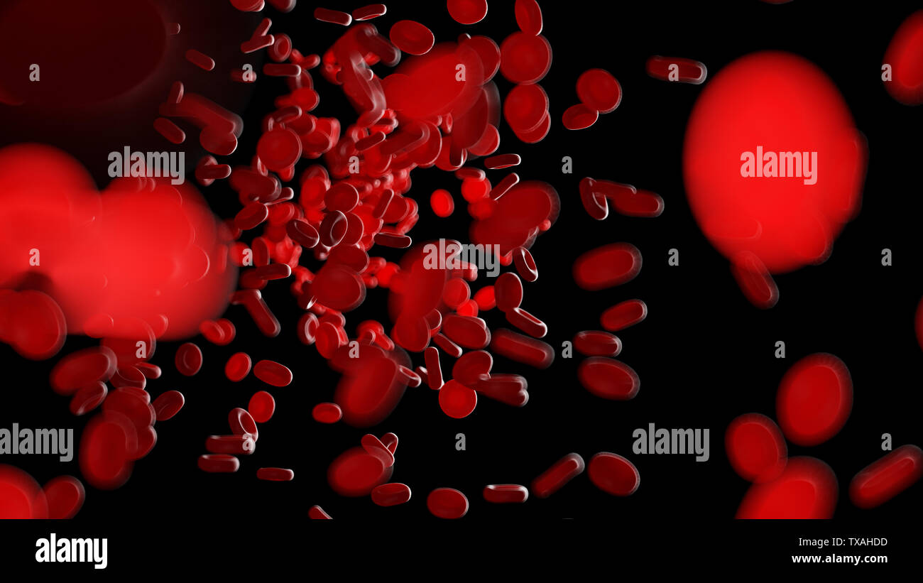 3d rendered medically accurate illustration of human blood cells Stock ...