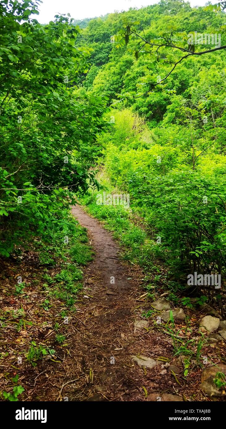 A mountain path Stock Photo - Alamy
