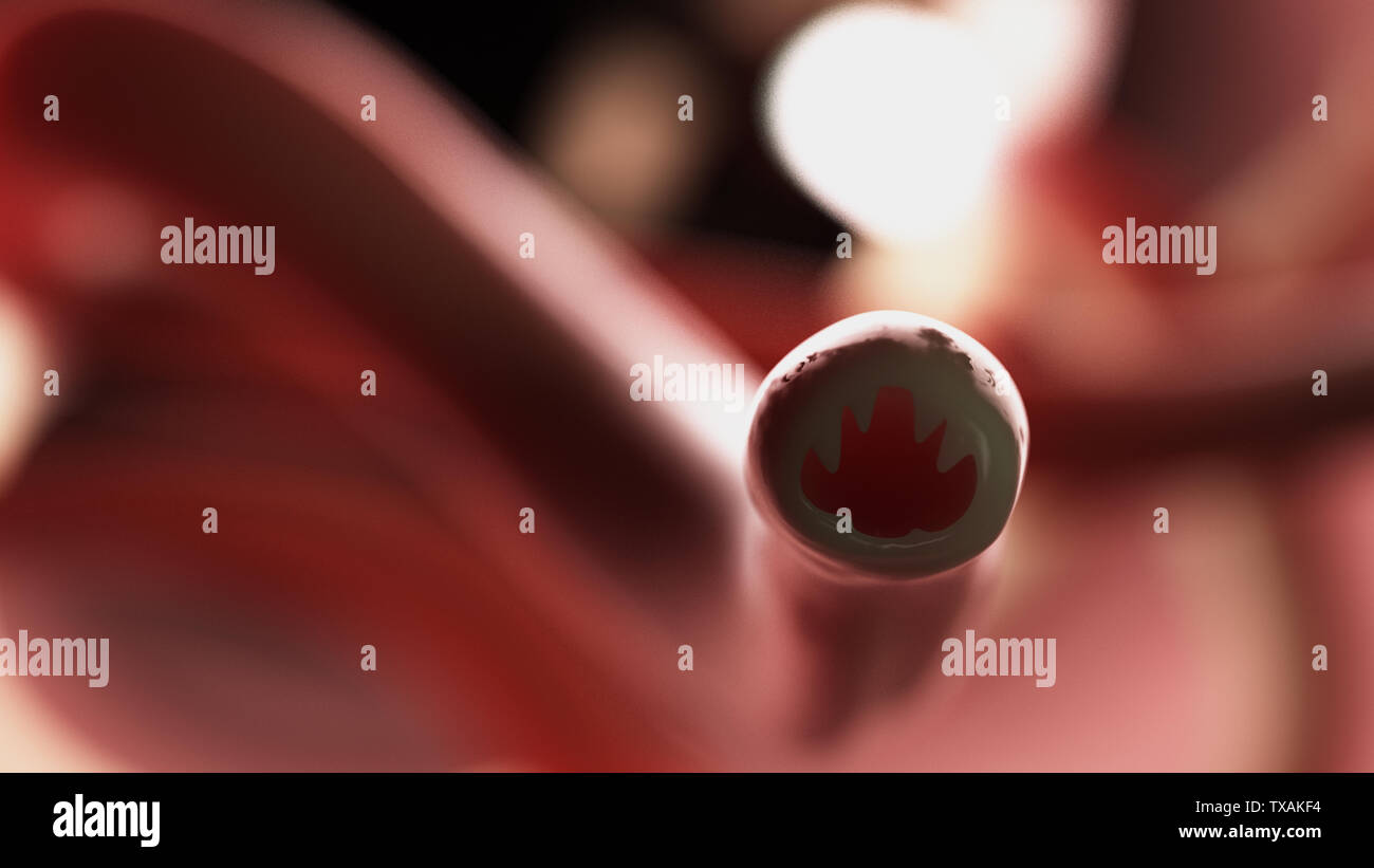 3d rendered medically accurate illustration of a hookworm Stock Photo ...