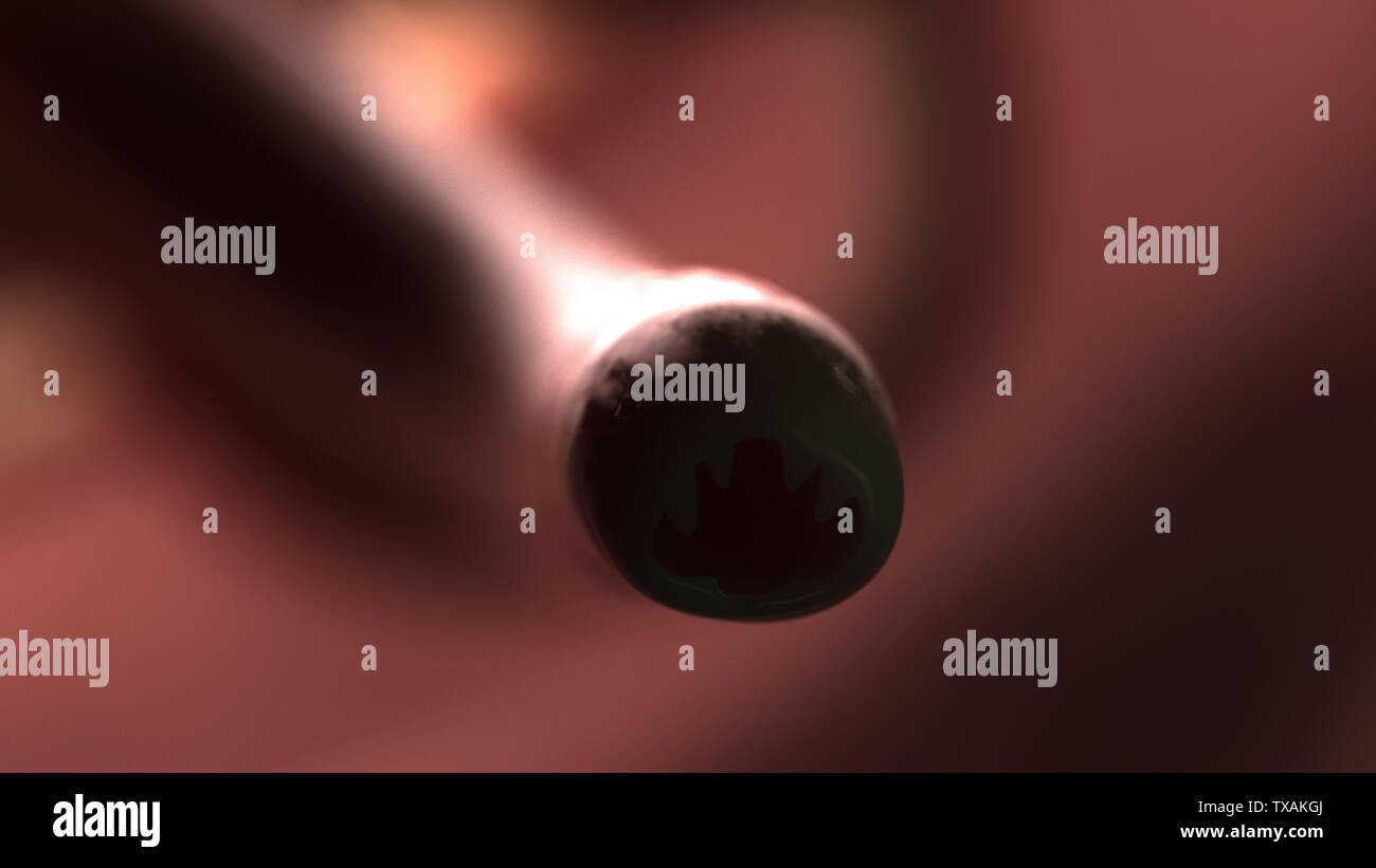 Hookworm hi-res stock photography and images - Alamy