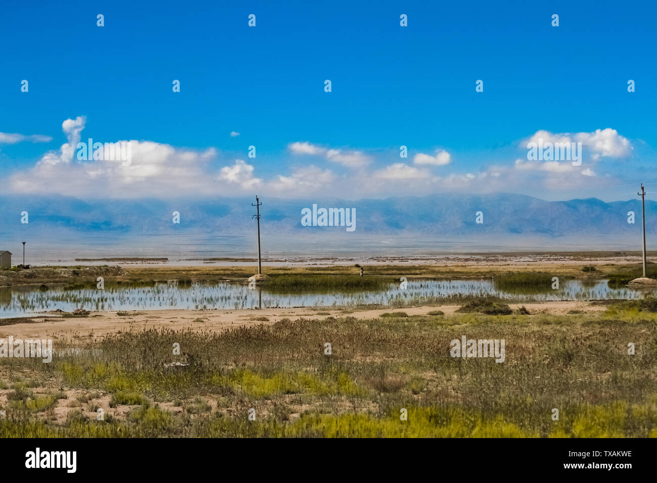 Qinghai lake qinghai lake scenery scenery around the lake hi-res stock ...