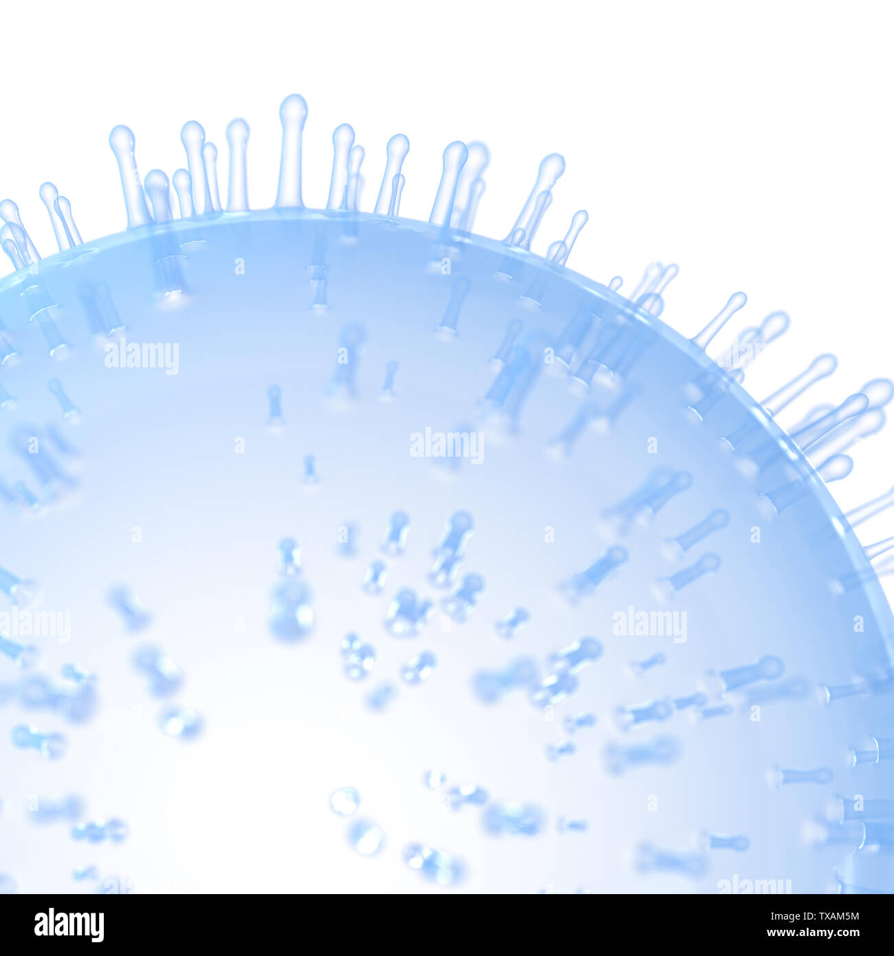 3d rendered medically accurate illustration of a cell surface Stock ...