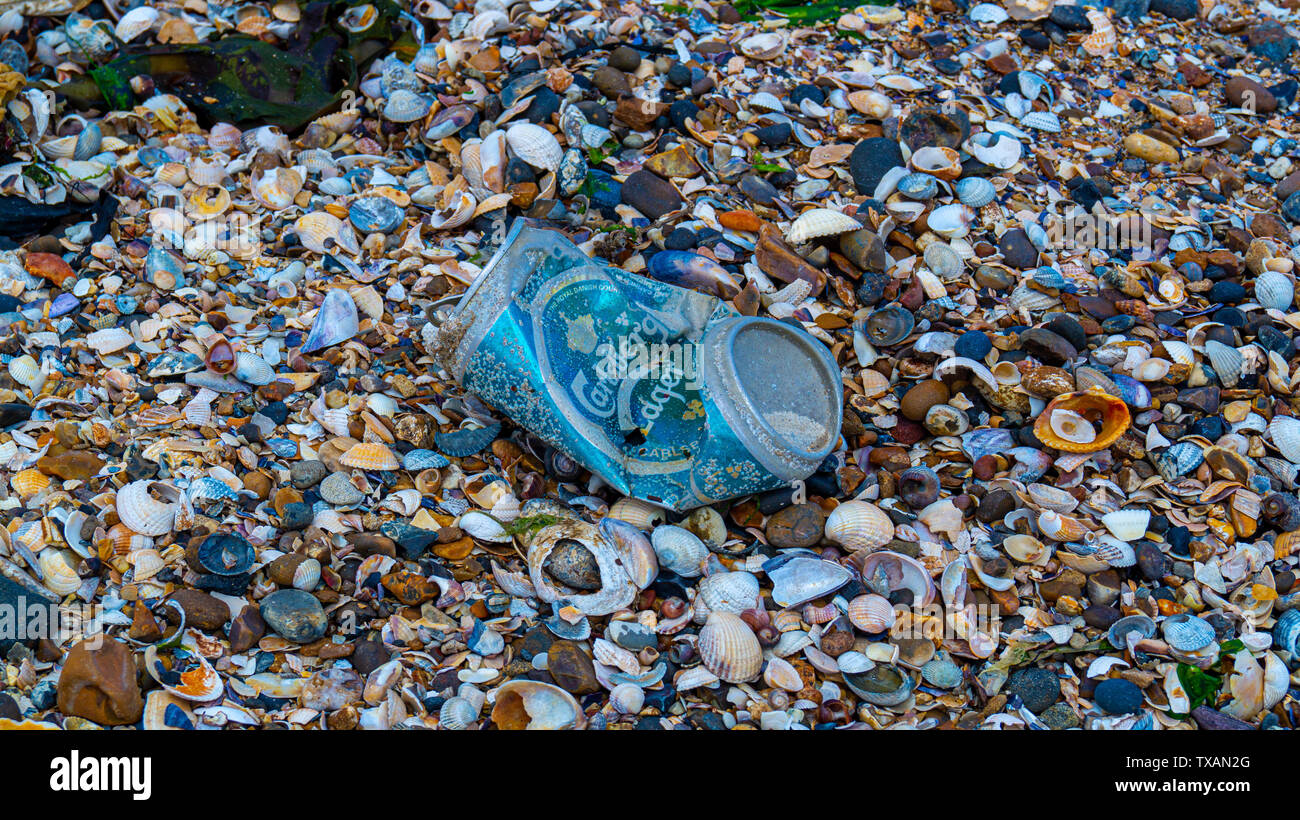 close up of beer can weathered on beach, save our oceans, pollution in ...