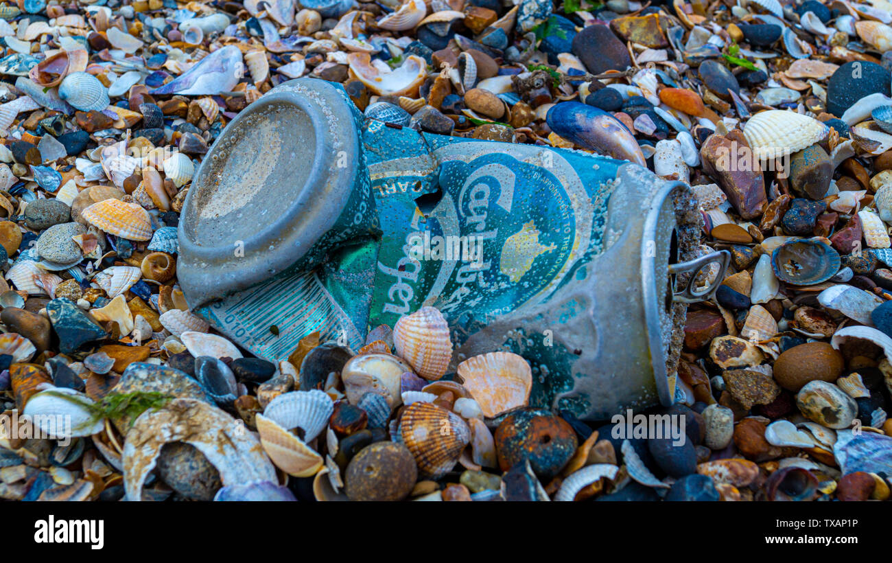 close up of beer can weathered on beach, save our oceans, pollution in ...