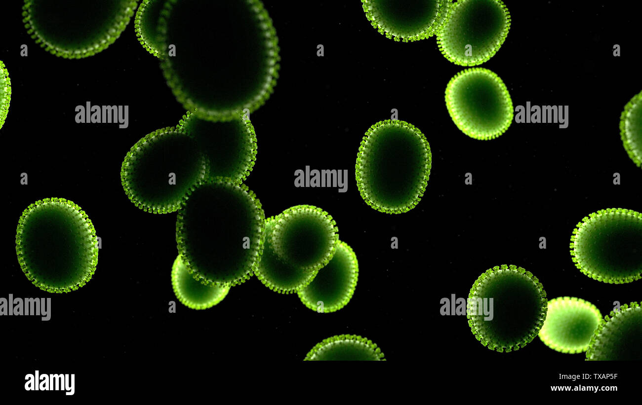 3d rendered medically accurate illustration of influenza viruses Stock ...