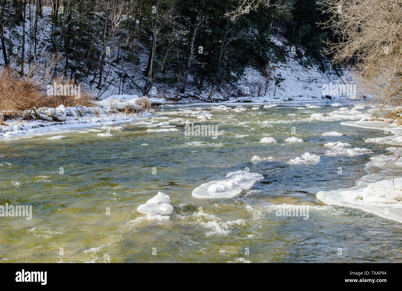River flowing in winter with chunks of ice and snow Stock Photo - Alamy