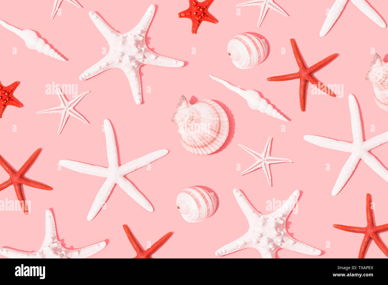 Seamless seashell pattern hi-res stock photography and images - Alamy