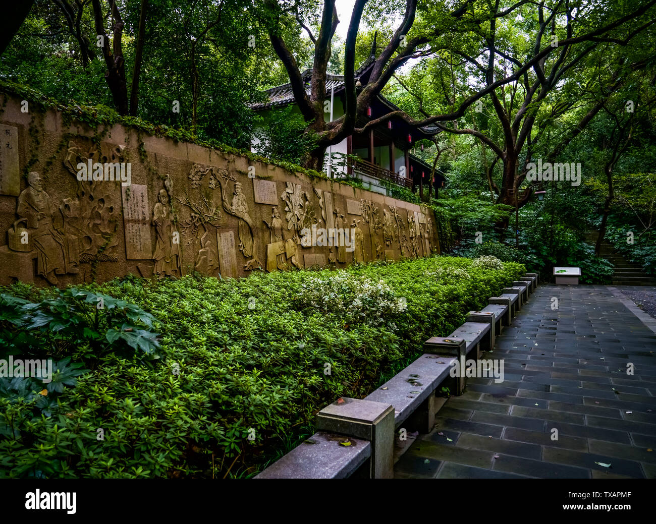 Hangzhou Mid-levels Forest Park Stock Photo - Alamy
